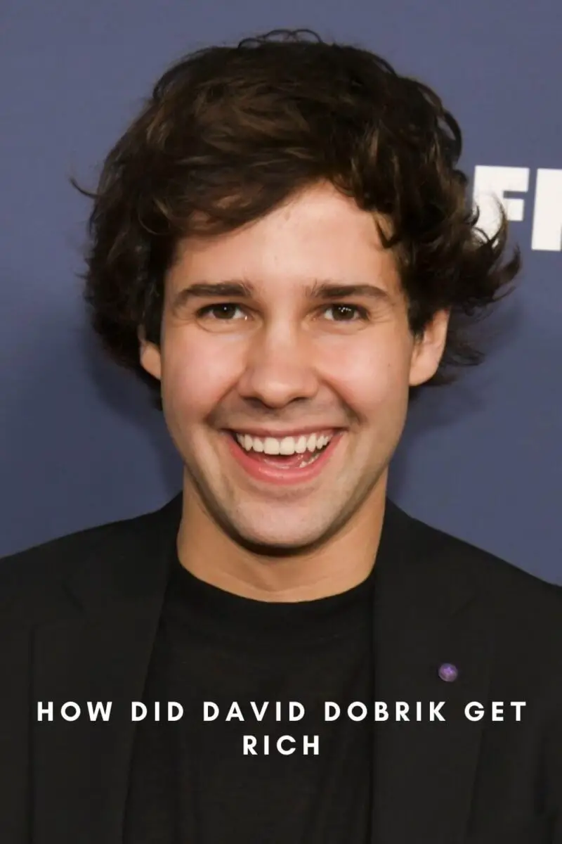 How did David Dobrik get rich?