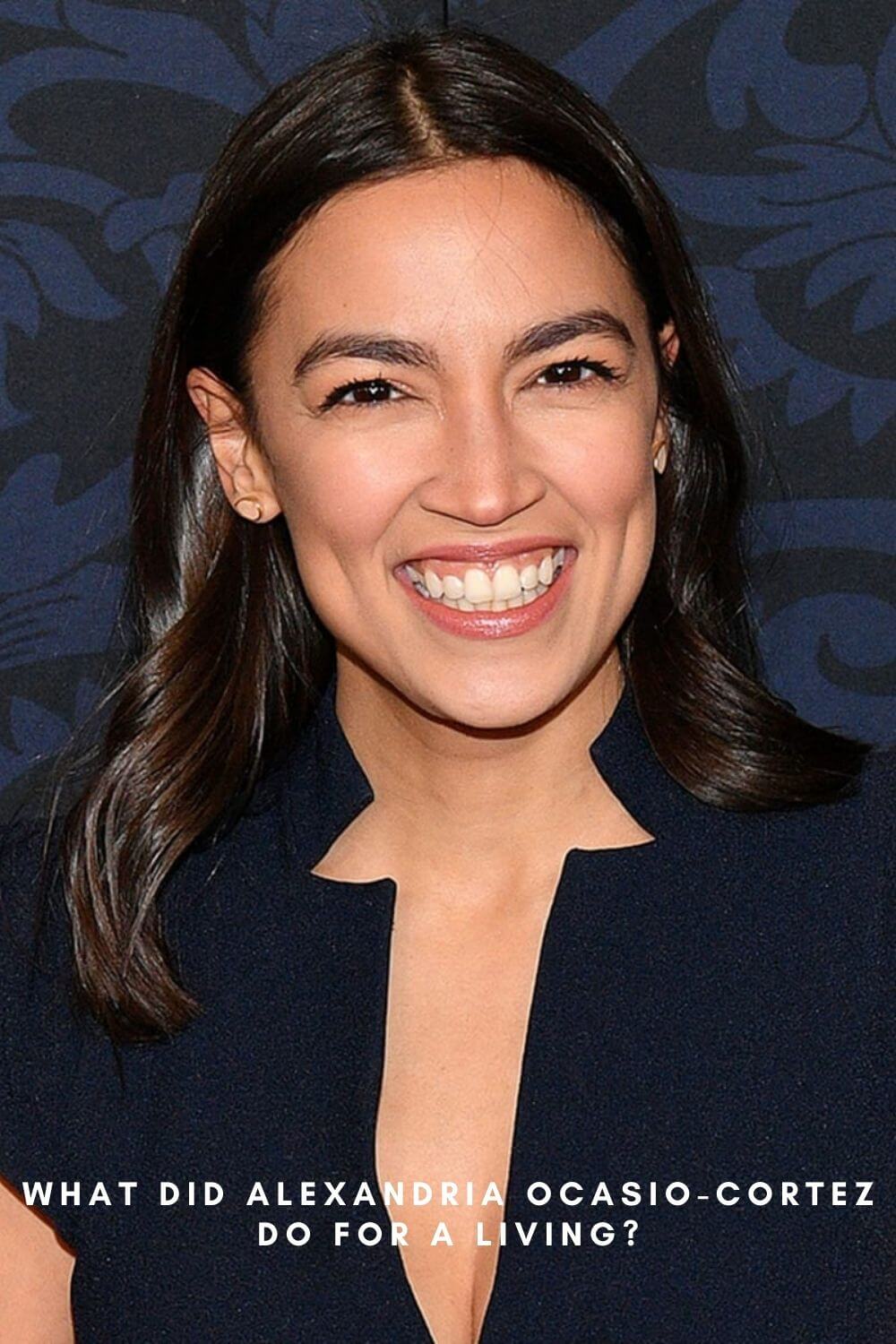 What Did Alexandria Ocasio Cortez Do For A Living 